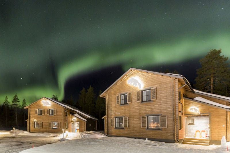 O-Nord | Finland | Stay at Ranua Wildlife Park