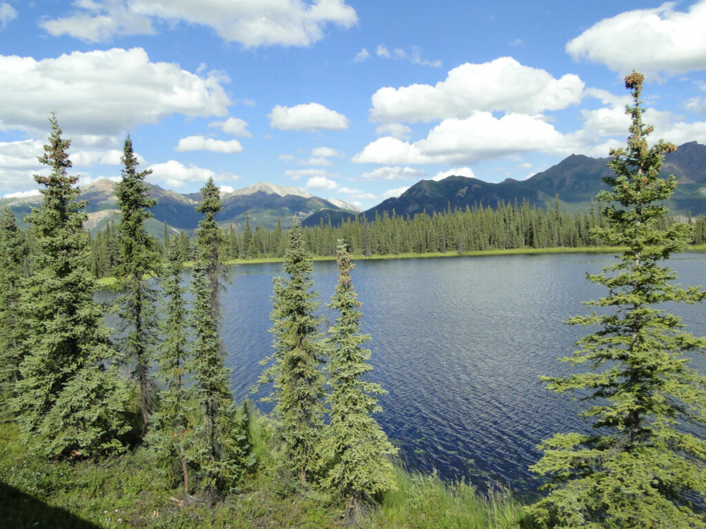 O-Nord | Alaska | Unmissable Alaska